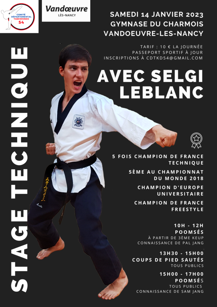 STAGE TECHNIQUE du CDT54 ANIME par SELGI LEBLANC – Ligue Grand Est de ...
